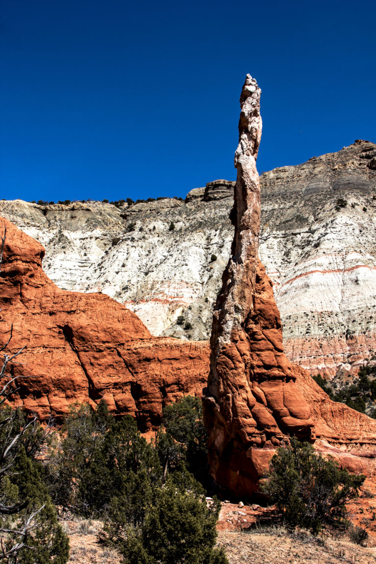 PINACLE – PROSPECTOR INN